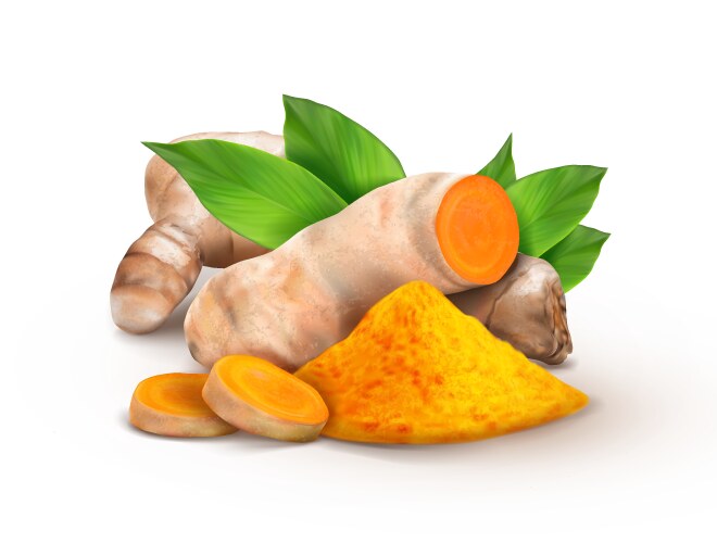 Turmeric Vector Images (over 3,100)