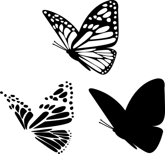 Butterfly Side View Vector Images (over 330)