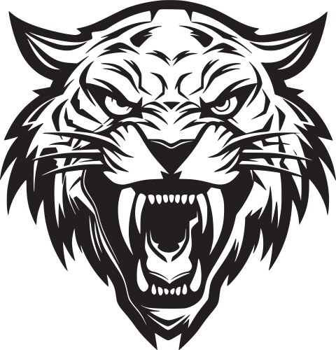 White tiger face Royalty Free Vector Image - VectorStock