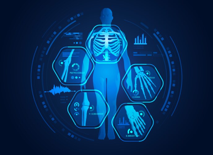 Skeleton scan Royalty Free Vector Image - VectorStock
