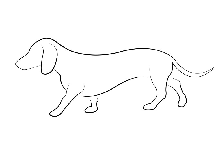 Dog Side View Vector Images (over 2,200)