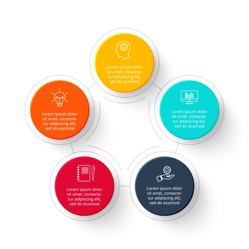 Circle steps timeline infographic element report Vector Image