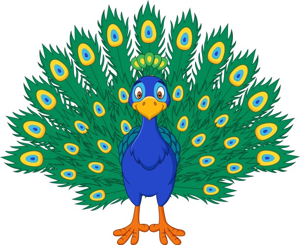 Cartoon smiling peacock Royalty Free Vector Image