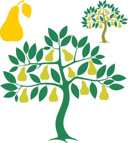 Pear tree Royalty Free Vector Image - VectorStock
