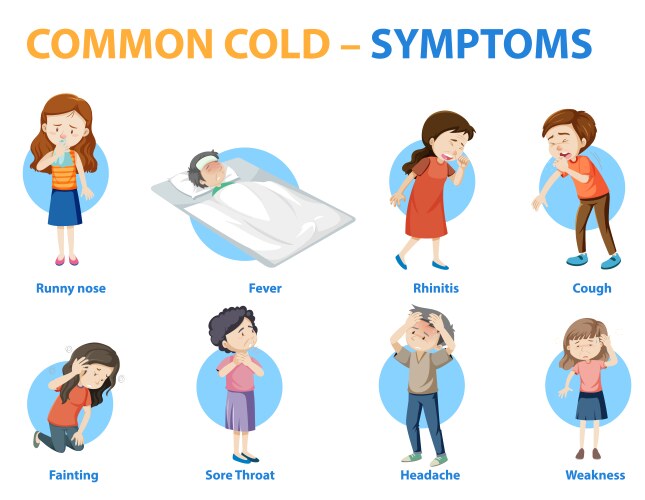 Common Cold Symptoms - Cartoon Infographic – Royalty-Free Vector ...