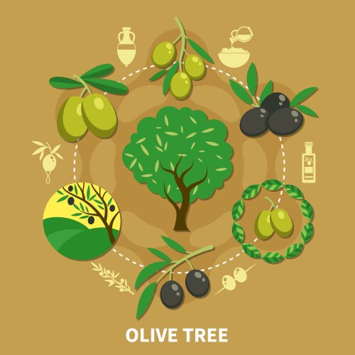Olive Tree Vector Images (over 230,000)