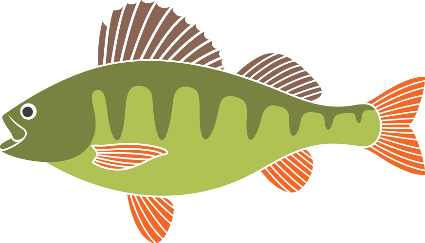 Perch Royalty Free Vector Image - VectorStock