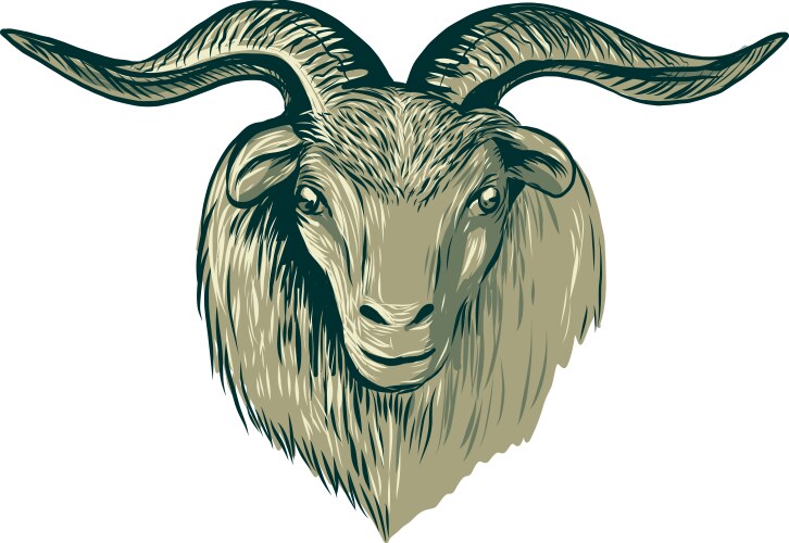 Hand drawn sketch portrait of goat Royalty Free Vector Image