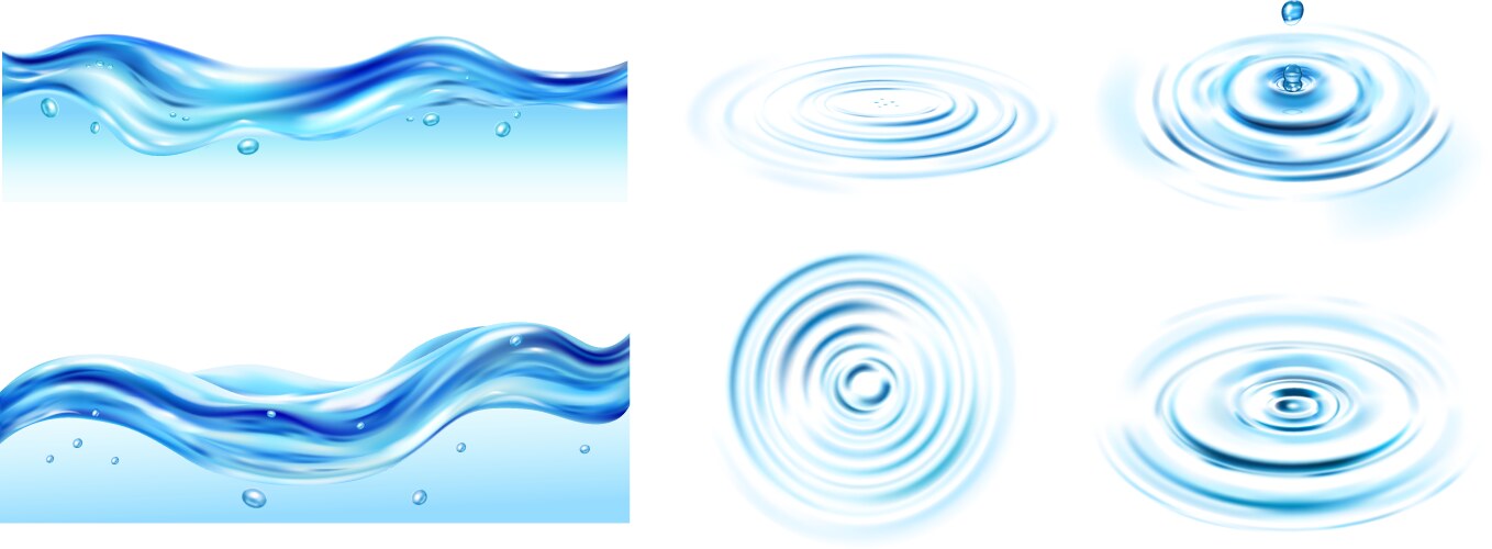 Circle water ripple 3d drops wave surface Vector Image