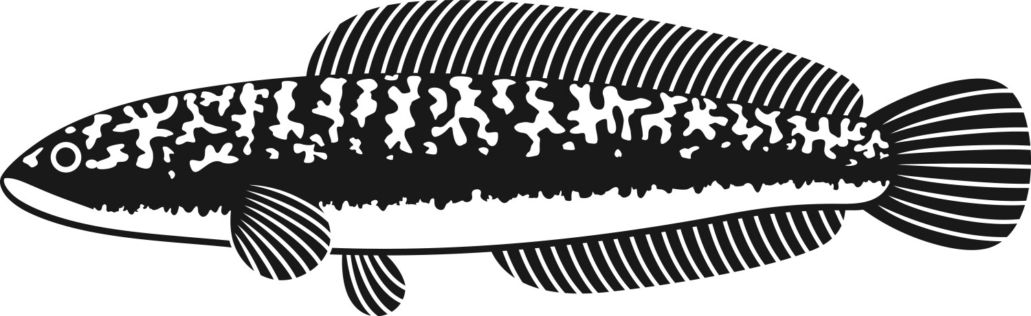 Snakehead Vector Images (over 110)