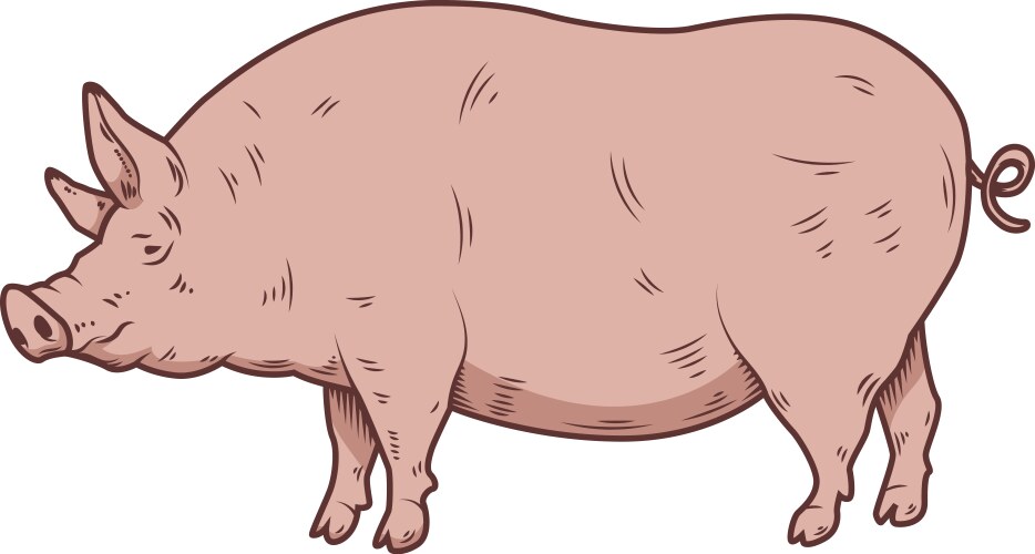 Pig side view Vector Images & Graphics for Commercial Use | VectorStock