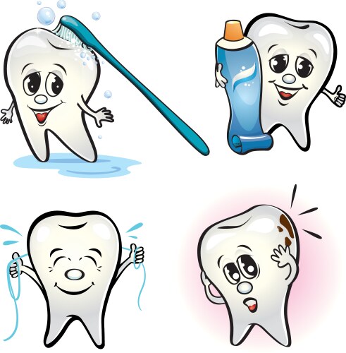 Cartoon of toothbrush and teeth Royalty Free Vector Image