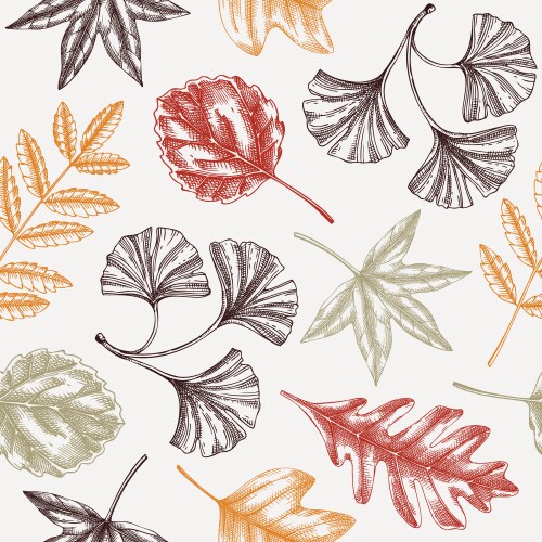 Fall Leaves Vector Images (over 81,000)