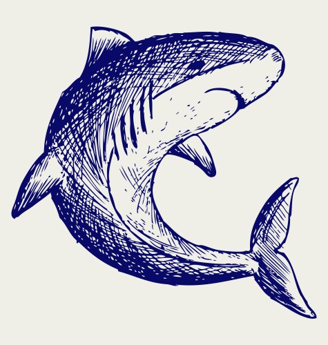 Shark Vector Images (over 32,000)