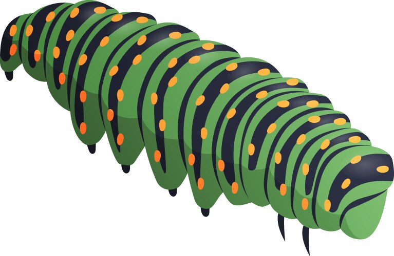 Caterpillar Vector Images (over 13,000)