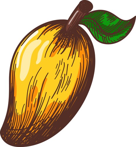 Mango Vector Images (over 22,000)