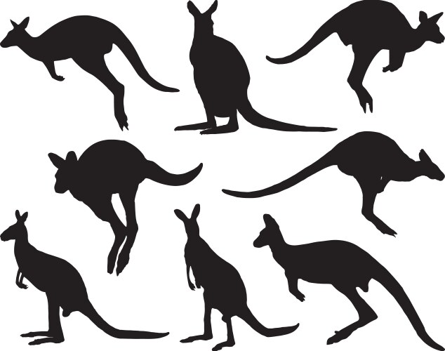Wallaby Drawing Vector Images (over 1,200)