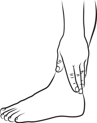Foot and Ankle Vector Images (over 9,300)