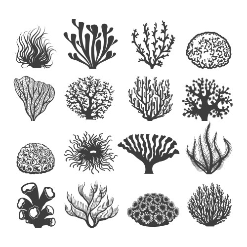 Coral reefs set Royalty Free Vector Image - VectorStock
