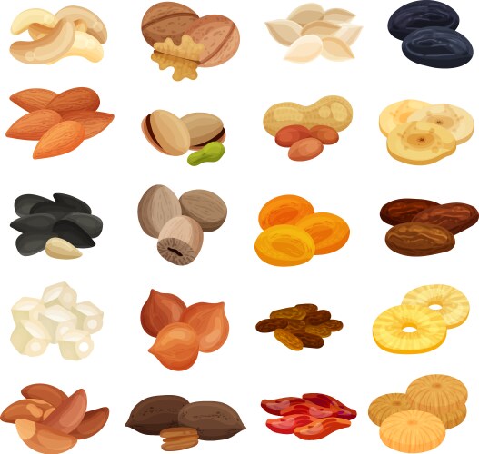 Dried fruits set isolated icons Royalty Free Vector Image
