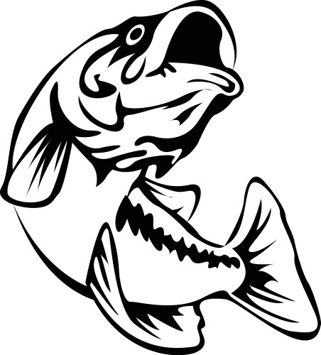 Bass Fish Outline Vector Images (over 1,700)