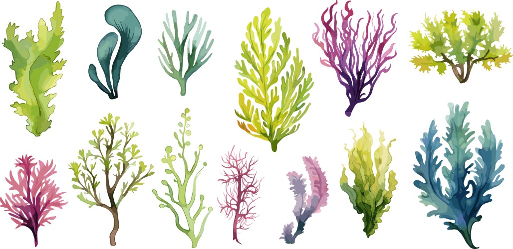 Algae Cartoon Vector Images (over 8,700)