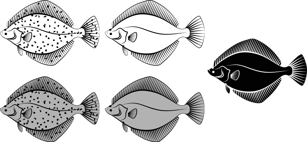 Flounder Vector Images (over 1,900)