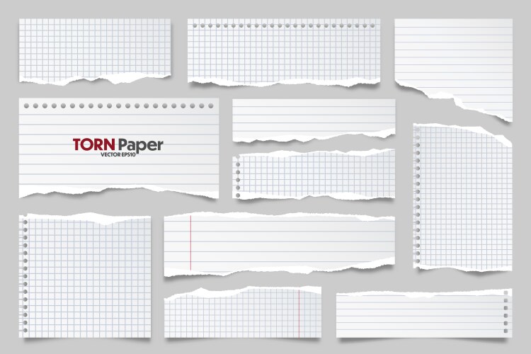 Workbook for writing hieroglyphs lined paper Vector Image