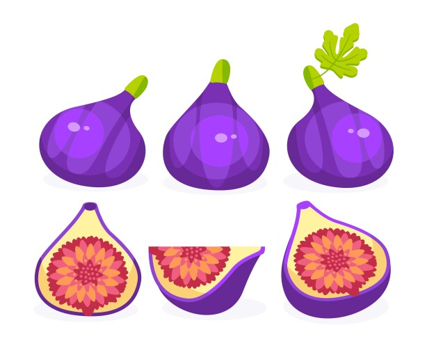 Figs Vector Images (over 8,900)