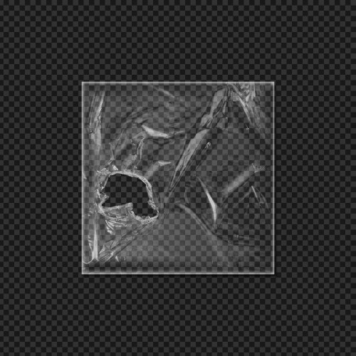 Torn plastic vinyl wrap Royalty Free Vector Image