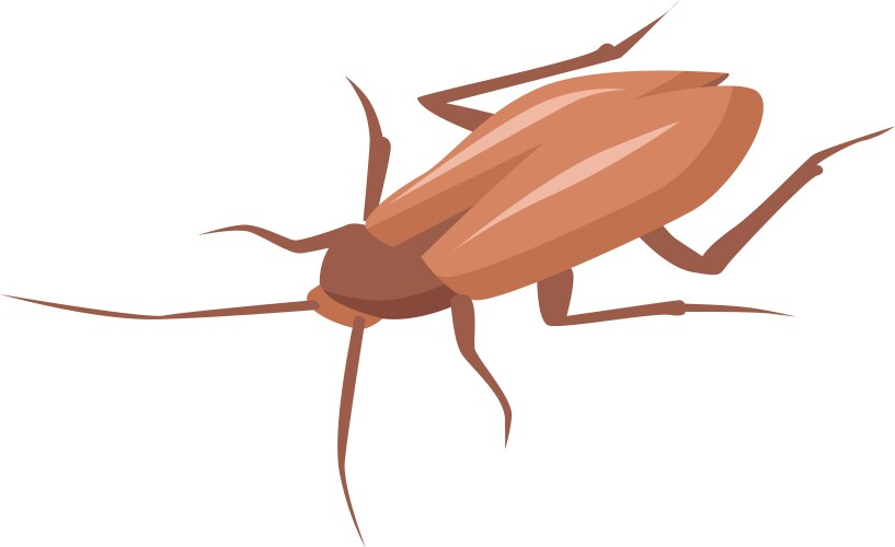 Cockroach Vector Images (over 8,500)