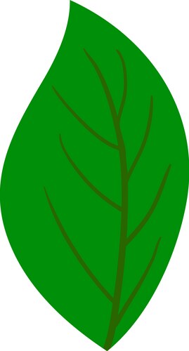 Cartoon sticker with green tree leaf Royalty Free Vector