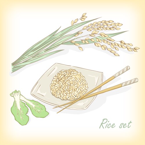 Rice Royalty Free Vector Image - VectorStock