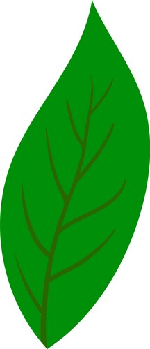 Cartoon sticker with green tree leaf Royalty Free Vector