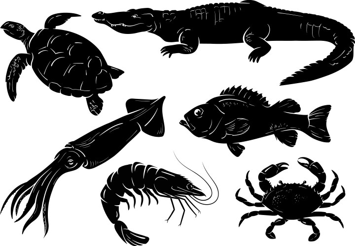 Sea animals line set Royalty Free Vector Image