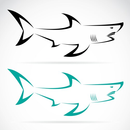 Shark Royalty Free Vector Image - VectorStock