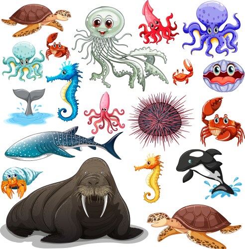 Different types of sea animals Royalty Free Vector Image