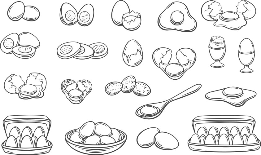 Eggs Tray Vector Images (over 2,200)