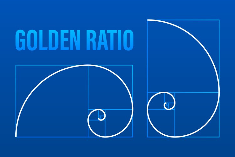 Set of golden ratio element Royalty Free Vector Image
