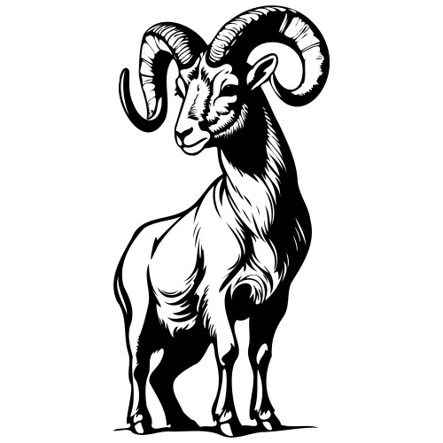 Sheep Outline Vector Images (over 8,100)