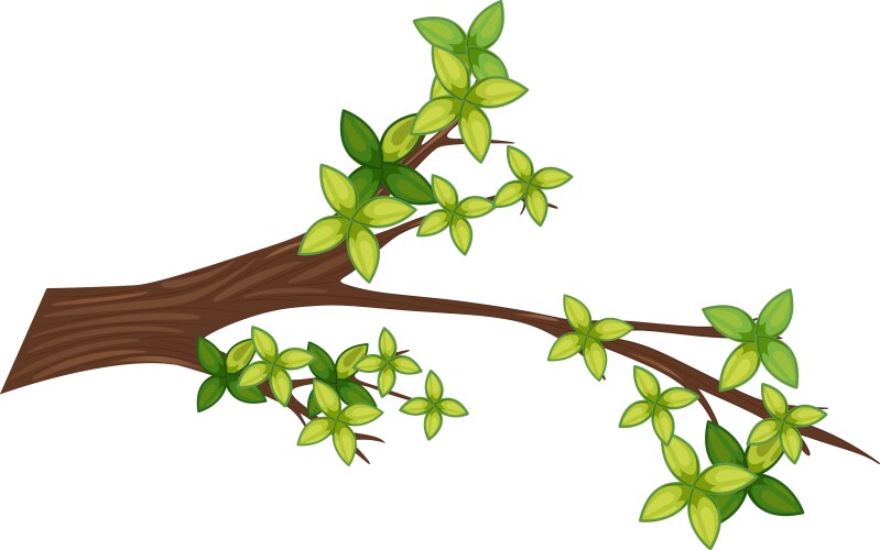 Tree branch with green leaves Royalty Free Vector Image
