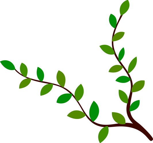 Different shapes of branches Royalty Free Vector Image