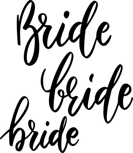 Bride groom lettering wedding modern calligraphy Vector Image