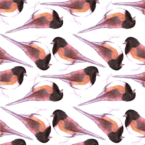 Junco (61503566) – Royalty-Free Vector | VectorStock
