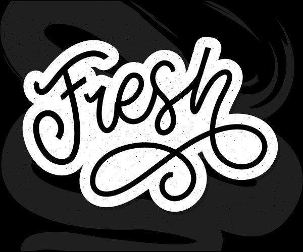 Paris hand written lettering modern calligraphy Vector Image