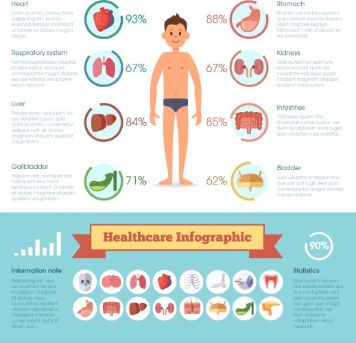 Human skeleton bone infographic template concept Vector Image