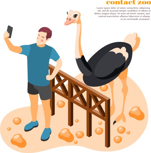 Tiger zoo Royalty Free Vector Image - VectorStock