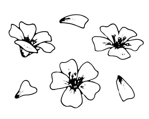 Gypsophila Draw Vector Images (over 220)
