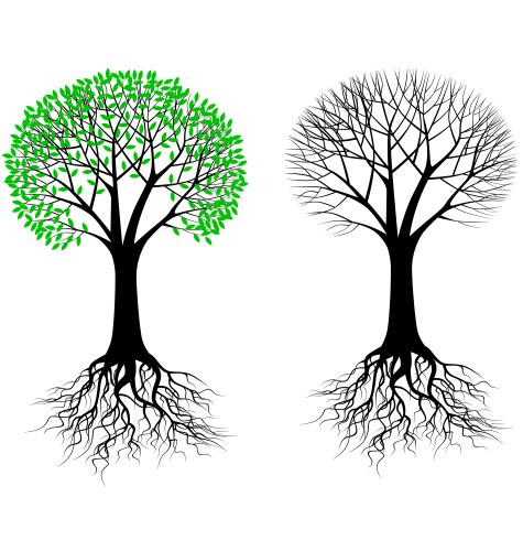 Tree Roots Black and White Vector Images (over 10,000)