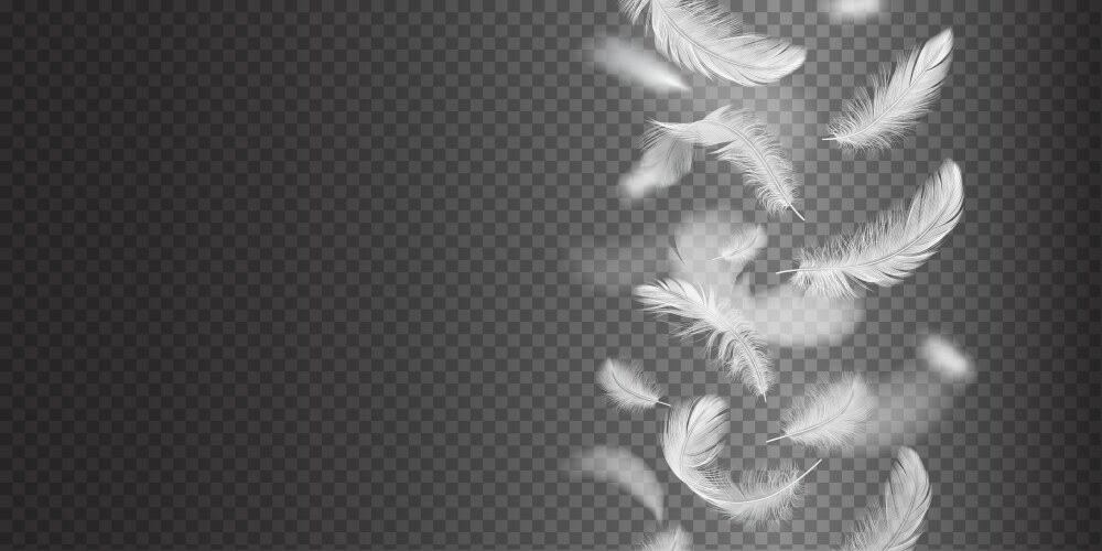 Angel Wings Frame Border Vector Images (over 400)